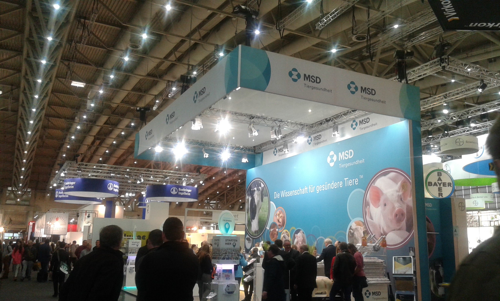 EUROTIER 2016 - Reports - pig333, pig to pork community