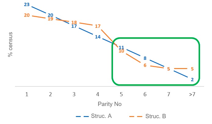 The ideal sow herd structure does not have a triangular shape anymore ...