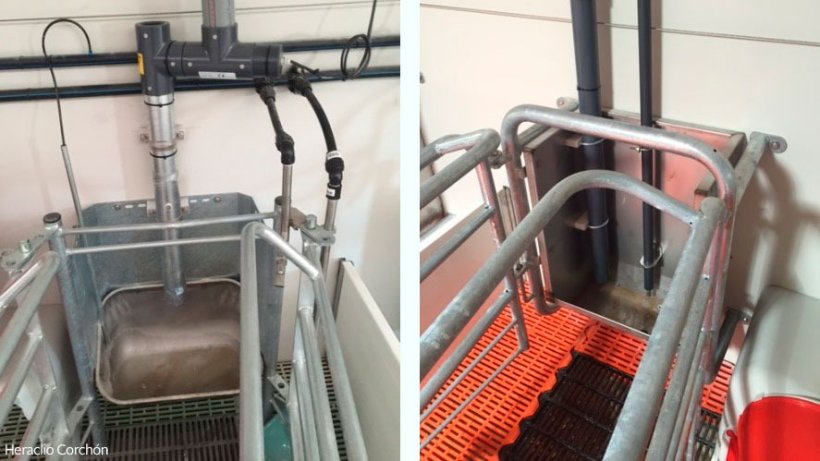 Ideal farrowing facilities (2/2): feeding and environmental control ...