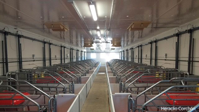 Ideal farrowing facilities (2/2): feeding and environmental control ...