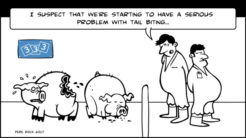 Tail biting - Humor - pig333, pig to pork community