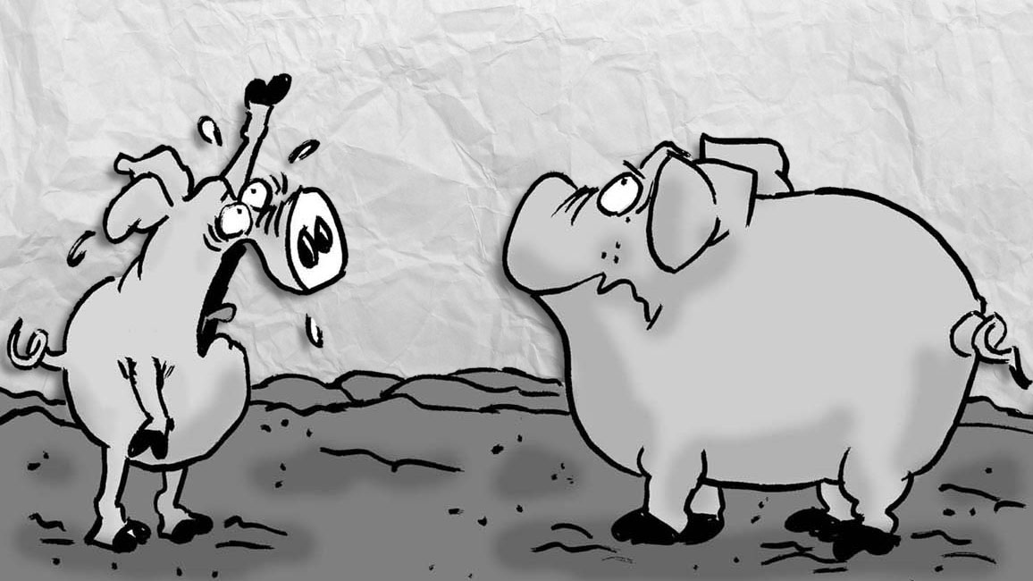 The Sky is falling - Humor - pig333, pig to pork community