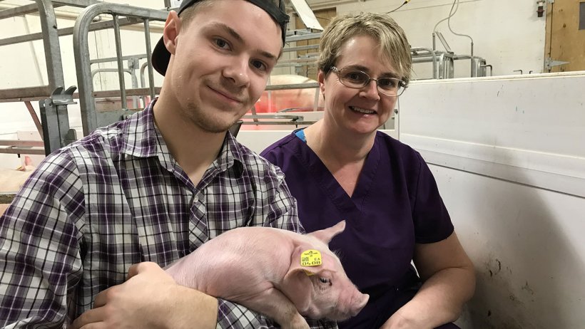 40 million pigs in Topigs Norsvin’s breeding database Pigbase - Press ...