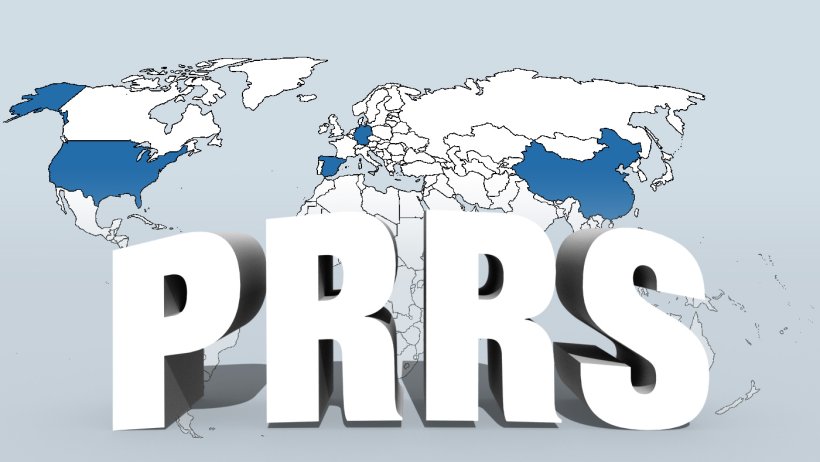 How is PRRS perceived across the world? How is it managed? - Articles ...