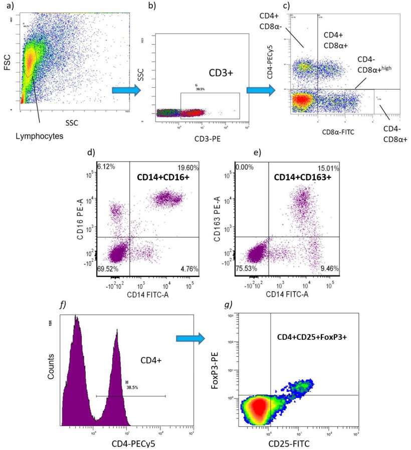 Laboratory techniques to evaluate the cellular immune response ...