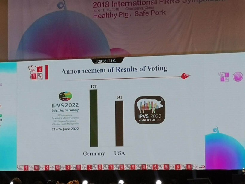 IPVS 2022: Heading to Leipzig - Swine news - pig333, pig to pork community