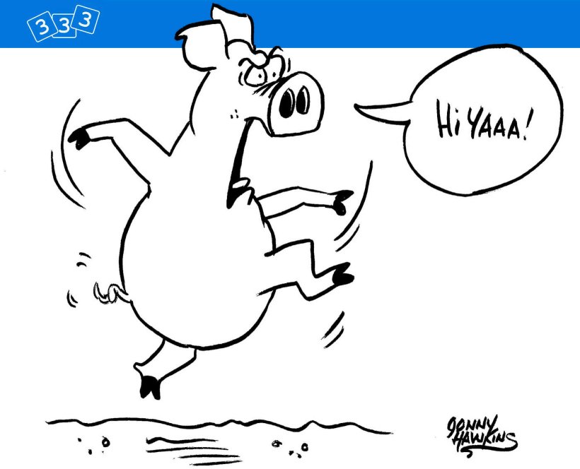 Pork Chop Sooey - Humor - pig333, pig to pork community