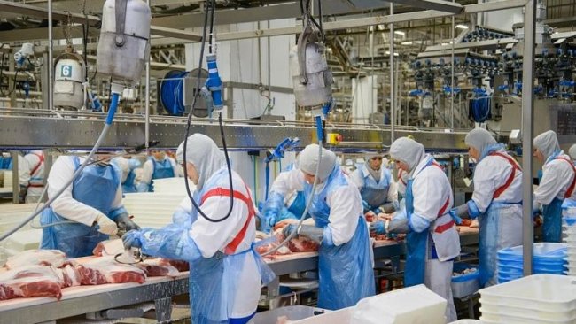 Miratorg invests 1.5 billion rubles to extend pork production in Kursk ...
