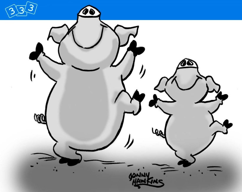 Swine dancing - Humor - pig333, pig to pork community