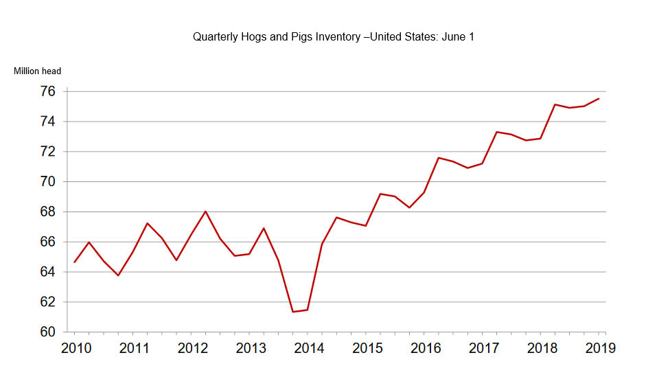 USA: Highest-ever June hog inventory reported - Swine news - pig333 ...