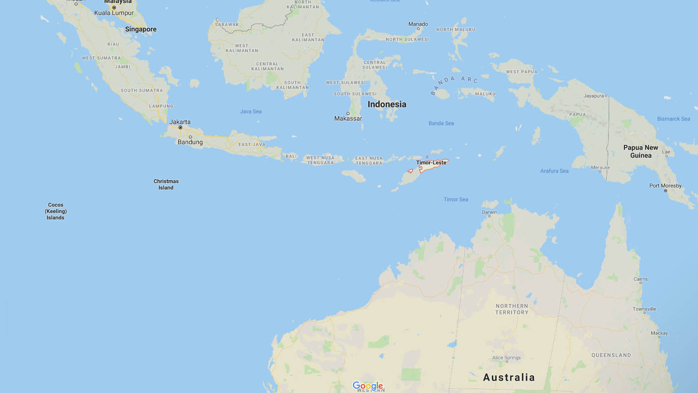 ASF reaches Timor - Swine news - pig333, pig to pork community