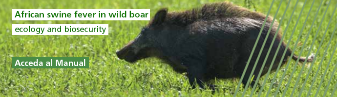 Updated OIE manual on ASF in wild boars - Swine news - pig333, pig to ...