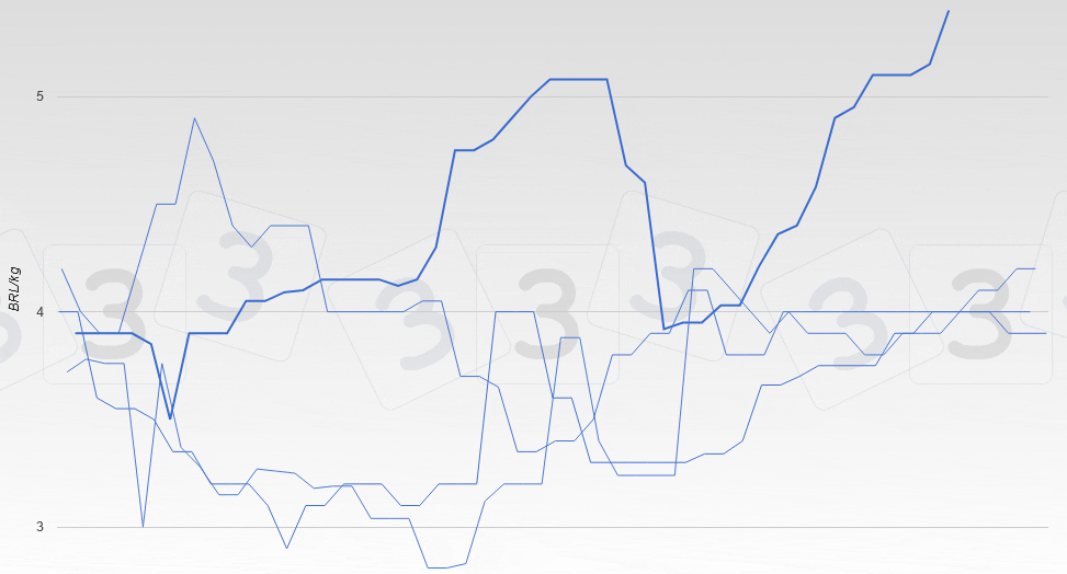 Record-breaking hog prices in several countries - Swine news - pig333 ...