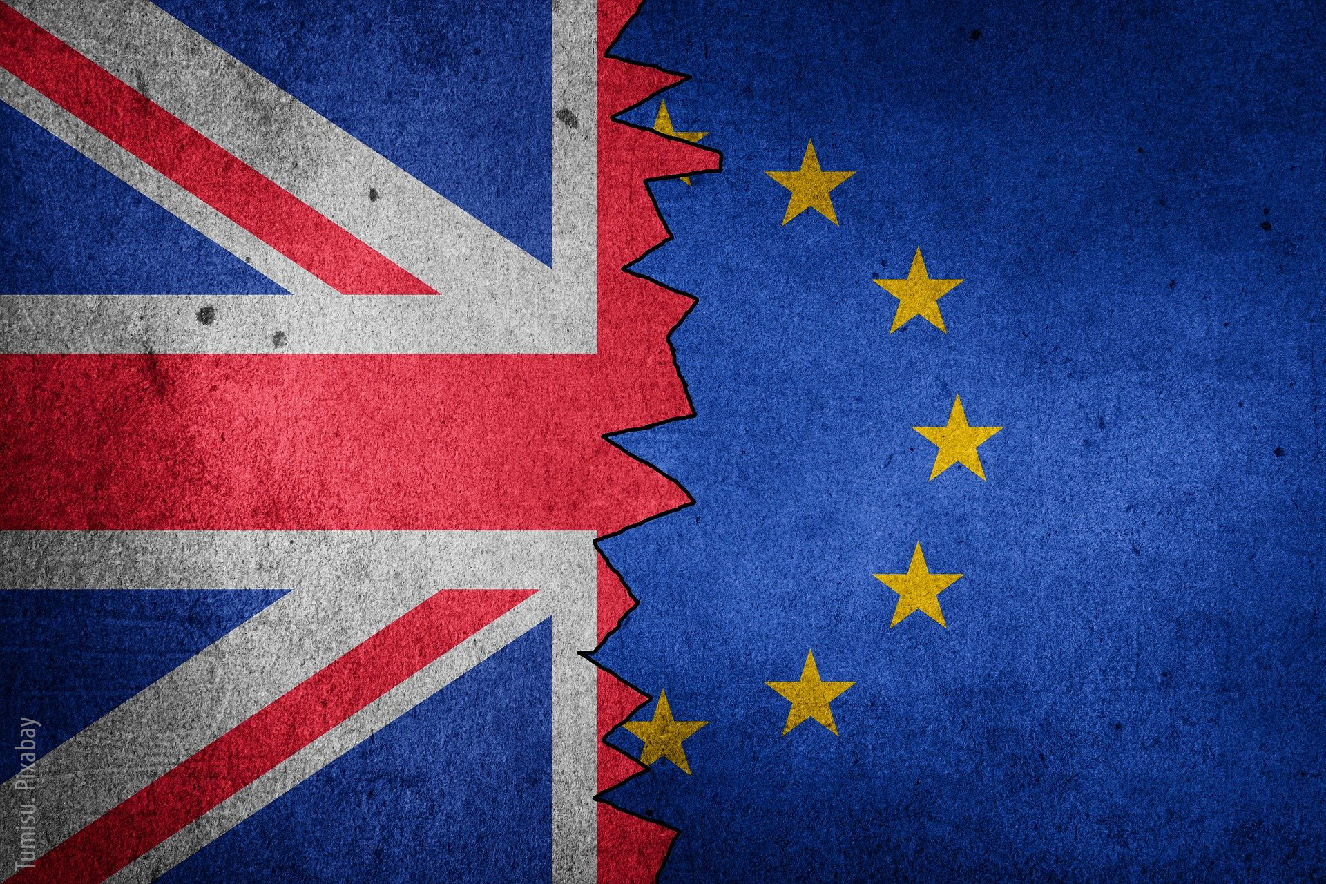 Brexit: What will happen to live animal and meat trade? - Swine news ...