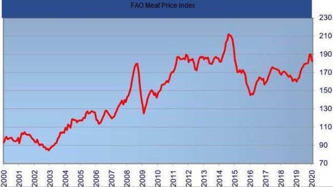 FAO: pig meat prices registered the biggest year-on-year increase ...