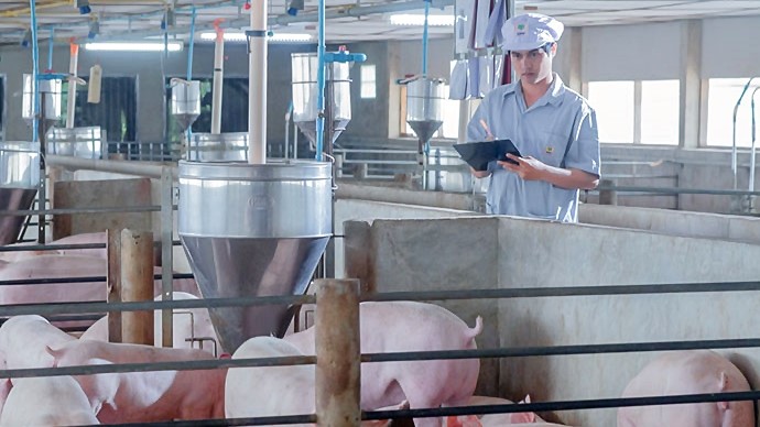 CPF: international animal welfare for safe and sustainable production ...