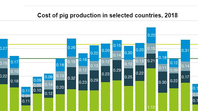 What were production costs on pig farms in 2019? - Articles - pig333 ...