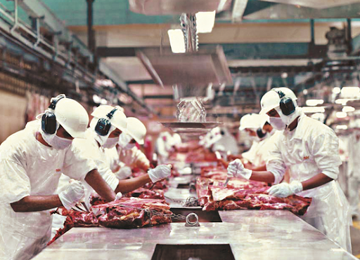 Brazil: Contracts extended for 269 meat inspection veterinarians ...