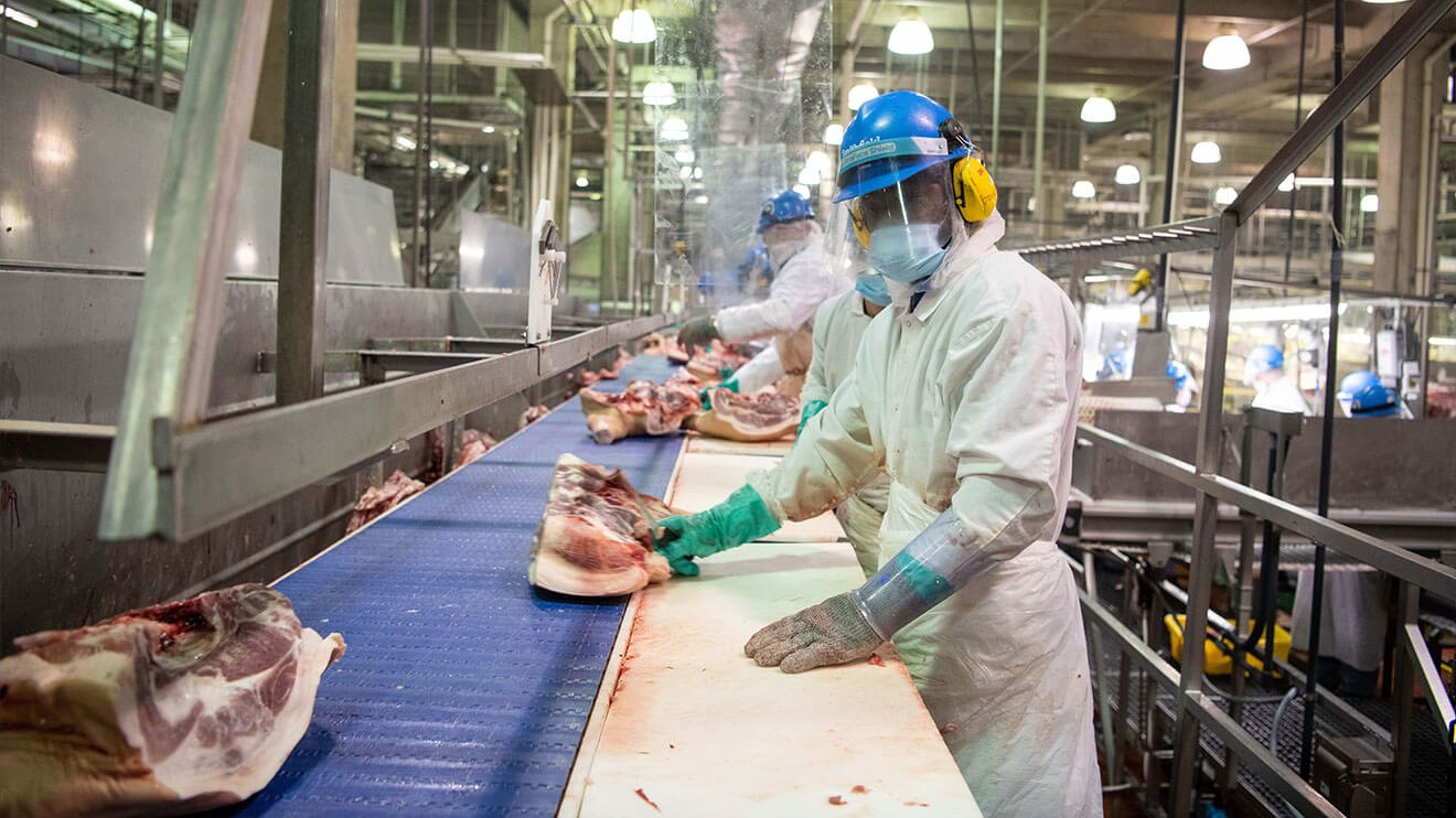 Food Inc Slaughterhouse