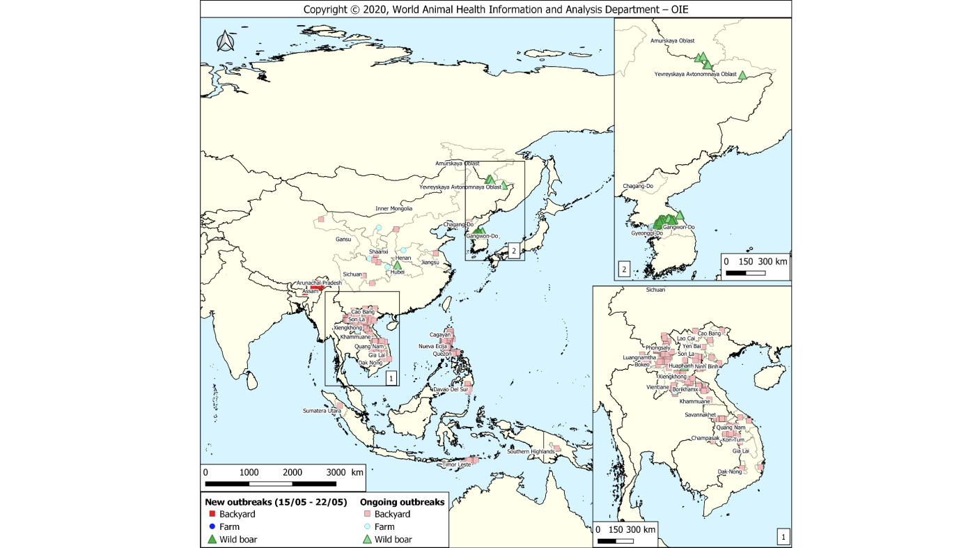 General situation of ASF in Asia and the Pacific - Swine news - pig333 ...