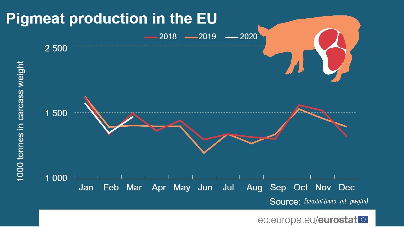 EU: Pigmeat production in March 2020 up from last year - Swine news ...