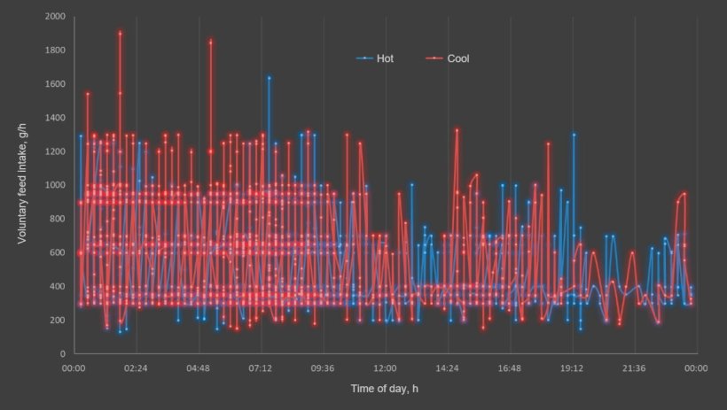 Improving sow feeding behaviour using feed flavour - Articles - pig333 ...