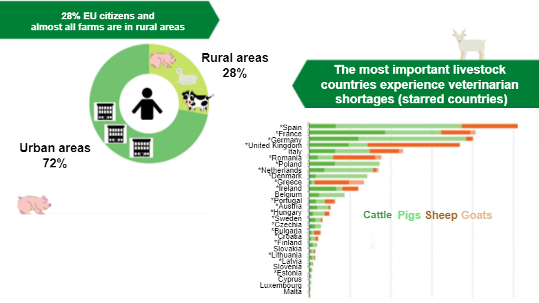 Shortage of veterinarians in rural and remote areas of Europe - Swine ...