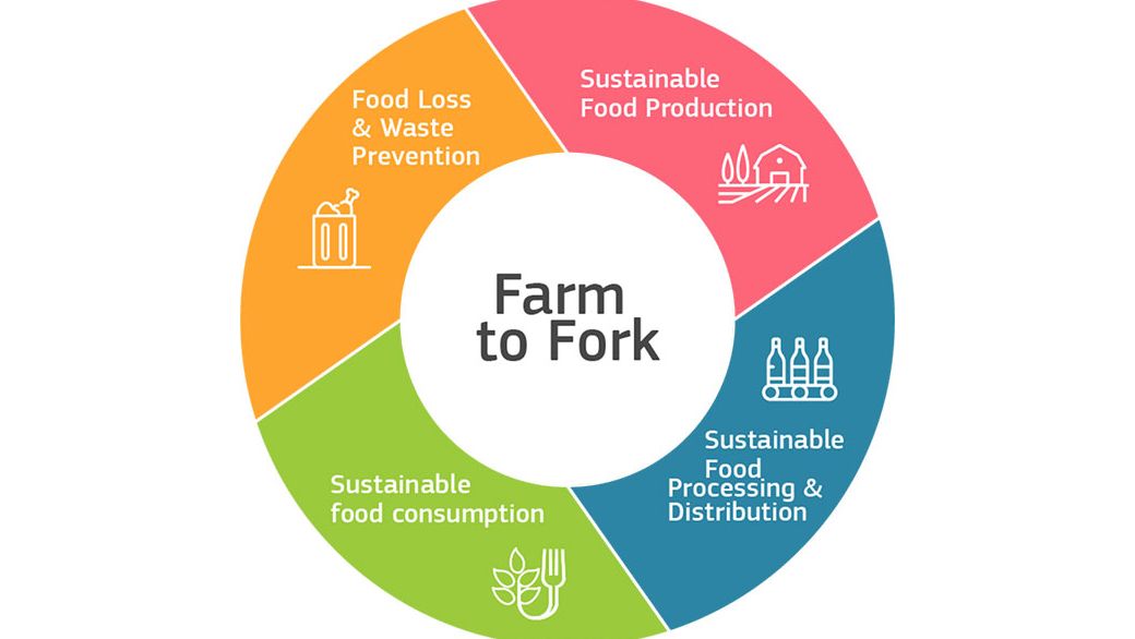 Food Food Sustainability Diagram