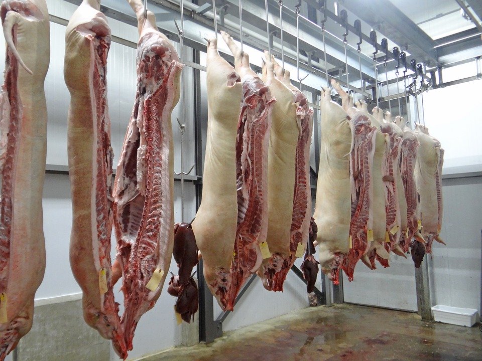 Beef Packing Plants In Us