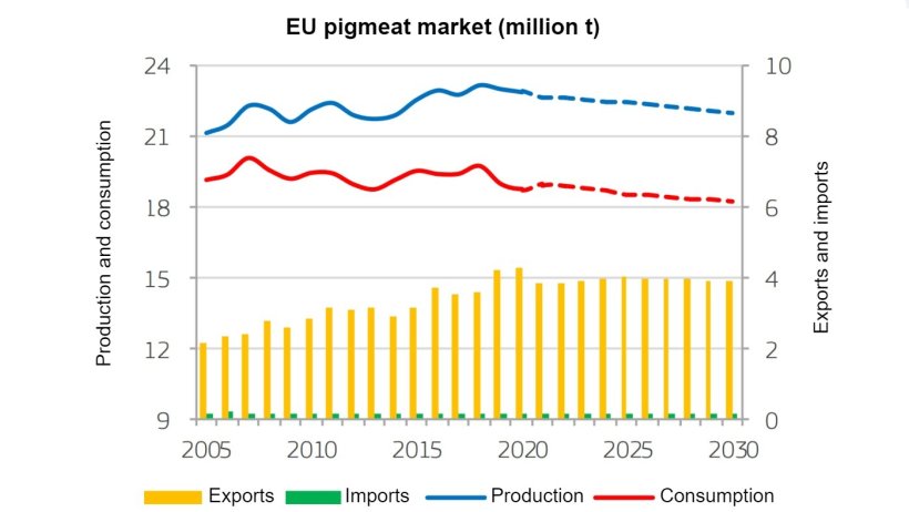 EU pigmeat production is expected to fall in the medium term - Swine ...