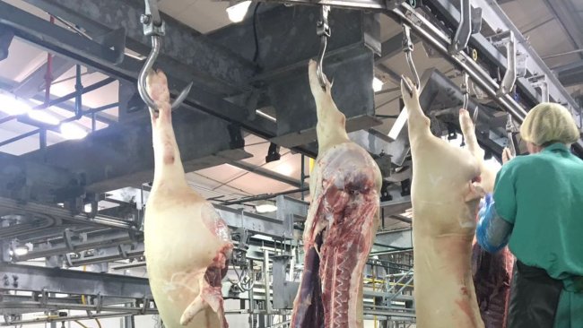 NAMI releases food safety equipment design principles - Swine news ...