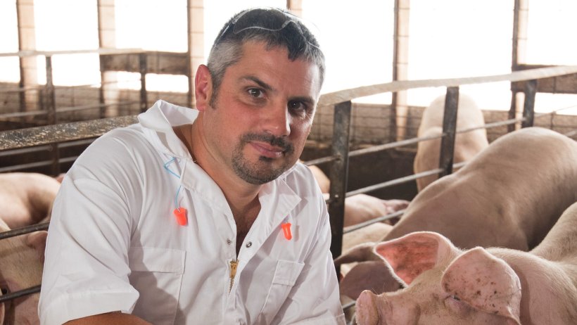 AASV Recognizes 2021 Swine Practitioner of the Year - Press releases ...