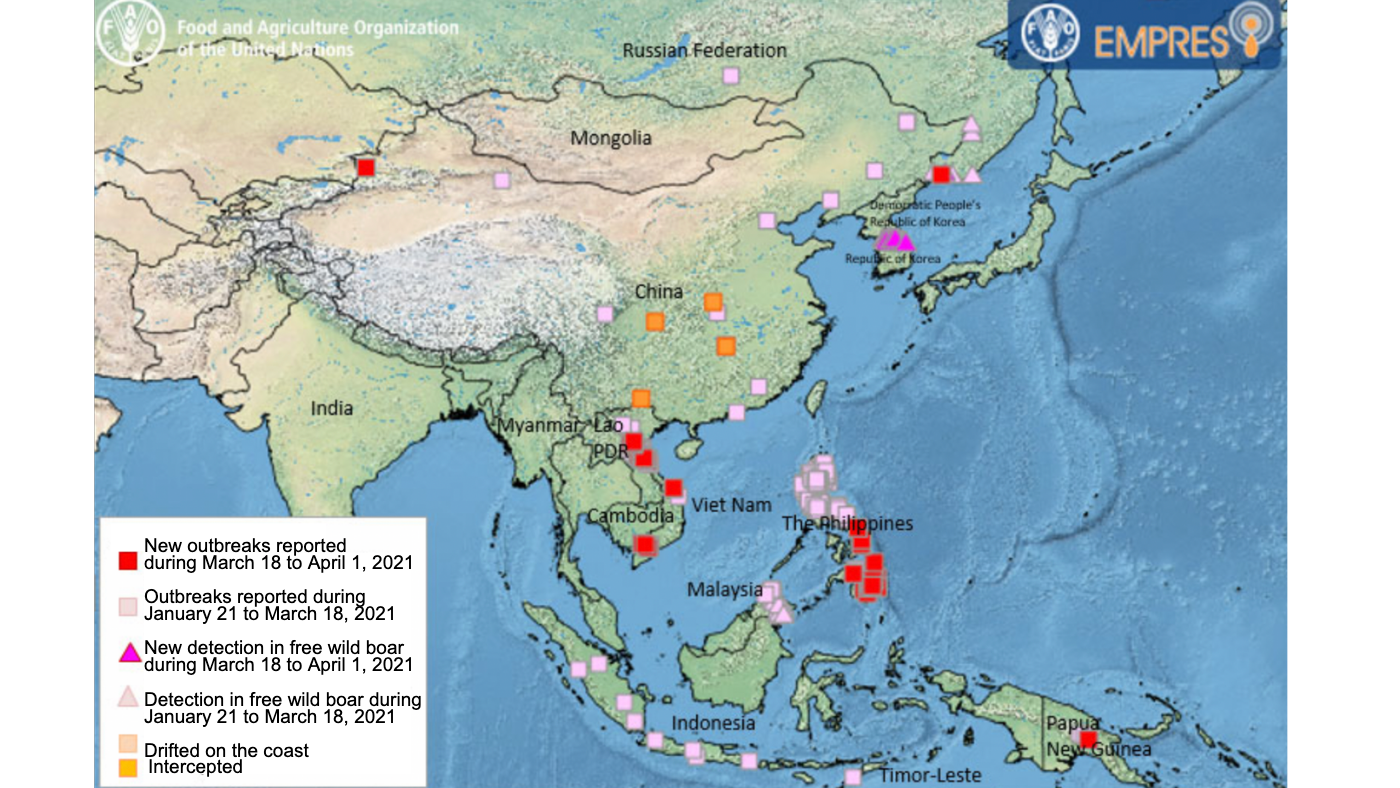 ASF situation in Asia & Pacific update from FAO - Swine news - pig333 ...