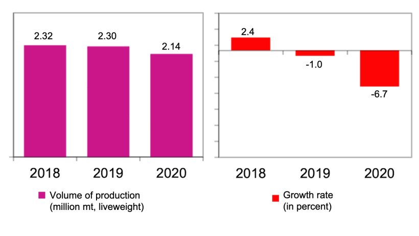 Evolution of the Philippine swine industry in 2020 - Swine news ...