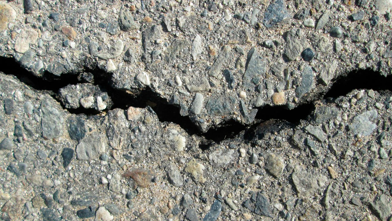 Insurmountable dichotomy: Strength in live pigs, weakness in pork ...