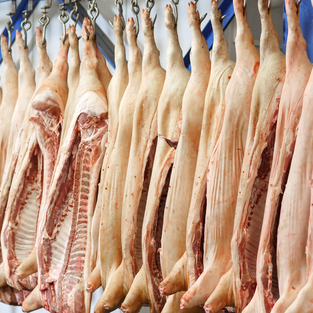 Beef Slaughterhouse Building