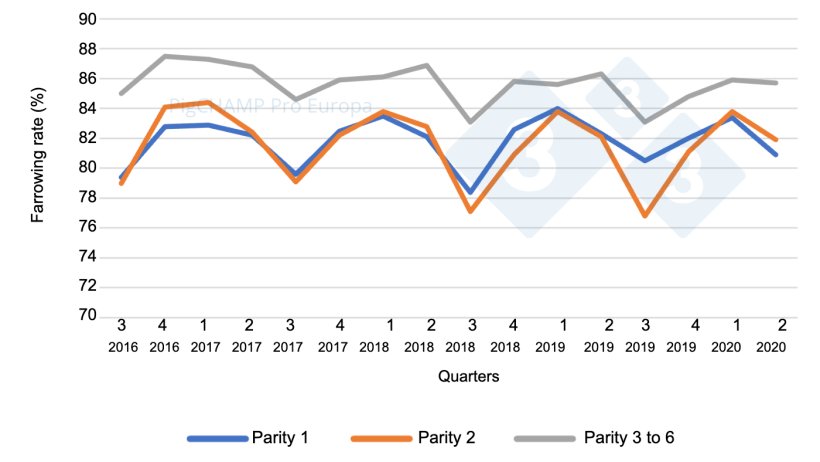 Seasonality in sow mating outcomes - Articles - pig333, pig to pork ...