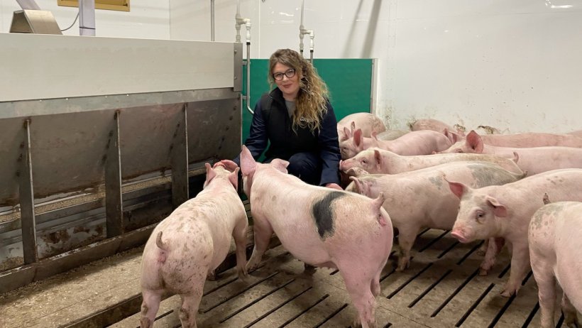Cargill introduces new UK reference unit for grow finish pig research ...
