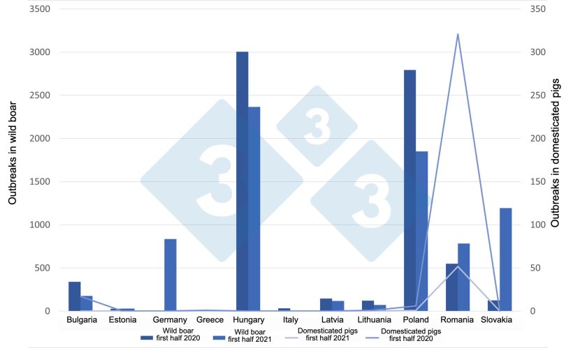 EU: ASF cases in domesticated pigs and wild boar on the rise - Swine ...
