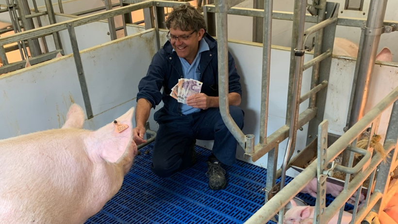 ARM Buildings: High cost of freedom farrowing systems - Company news ...