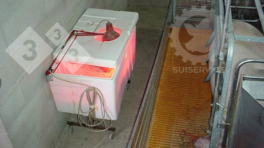 How to make an incubator cart for piglets - Articles - pig333, pig to ...
