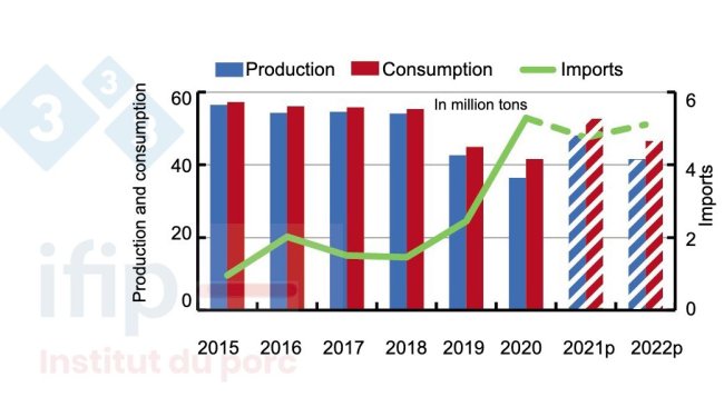 China's pork production and pig inventory in first 3 quarters of 2021 ...
