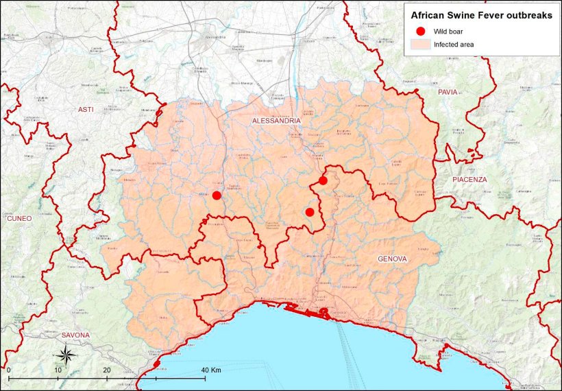 Italy confirms two new ASF cases and expands the affected area - Swine ...