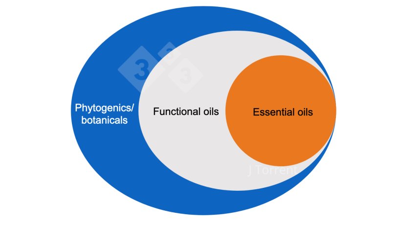 Naming essential oils, functional oils, botanicals, and phytogenics ...