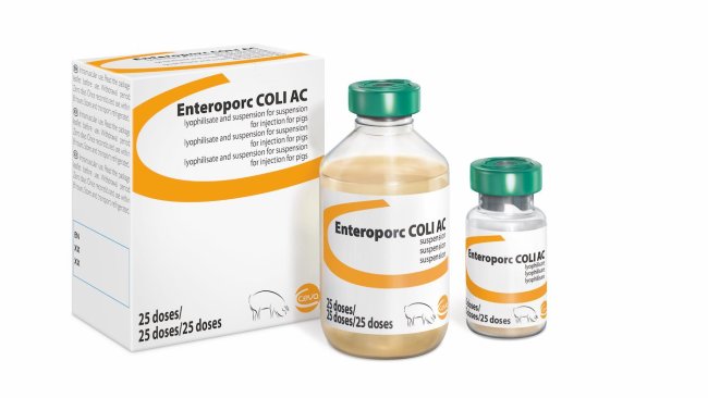Ceva Circovac® + Hyogen® Ready to Mix: DUO™ swine vaccines - Company ...
