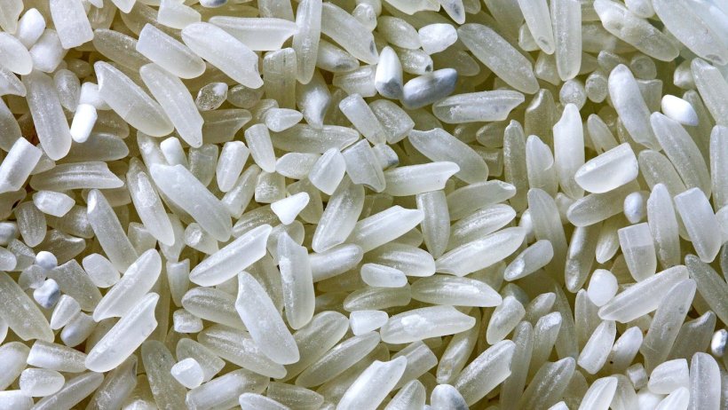 Rice as a pig feed ingredient - Articles - pig333, pig to pork community