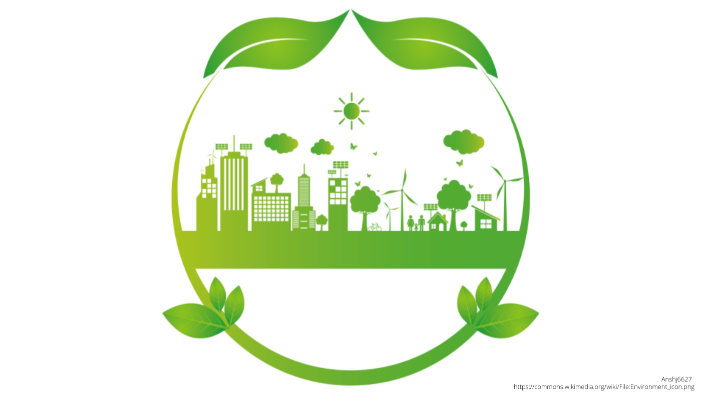 Denmark is working on a state-controlled climate food label - Swine ...