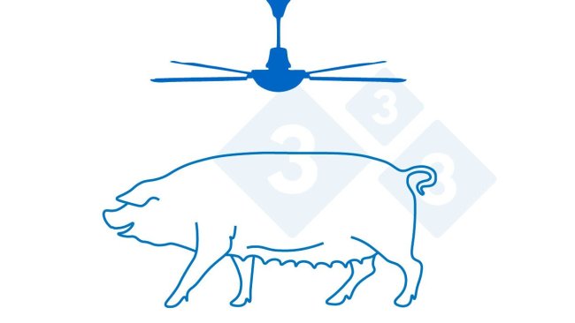 Pig production blog: swine nutrition, pig farming, - pig333, pig to ...