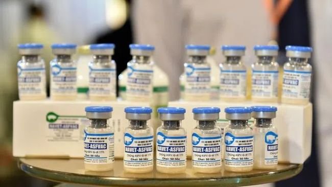 Pig production blog: swine nutrition, pig farming, - pig333, pig to ...