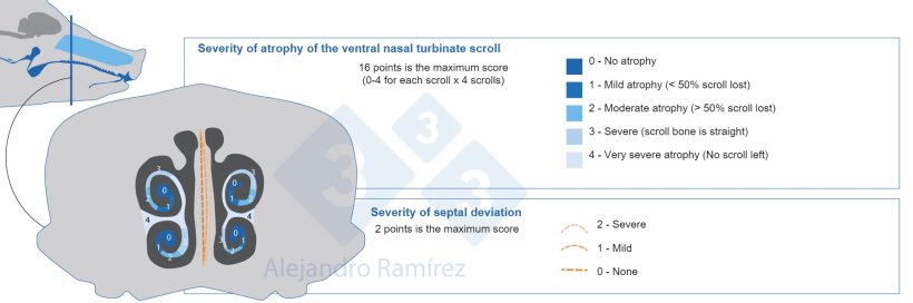 Laboratory diagnostics for atrophic rhinitis in swine - Articles ...